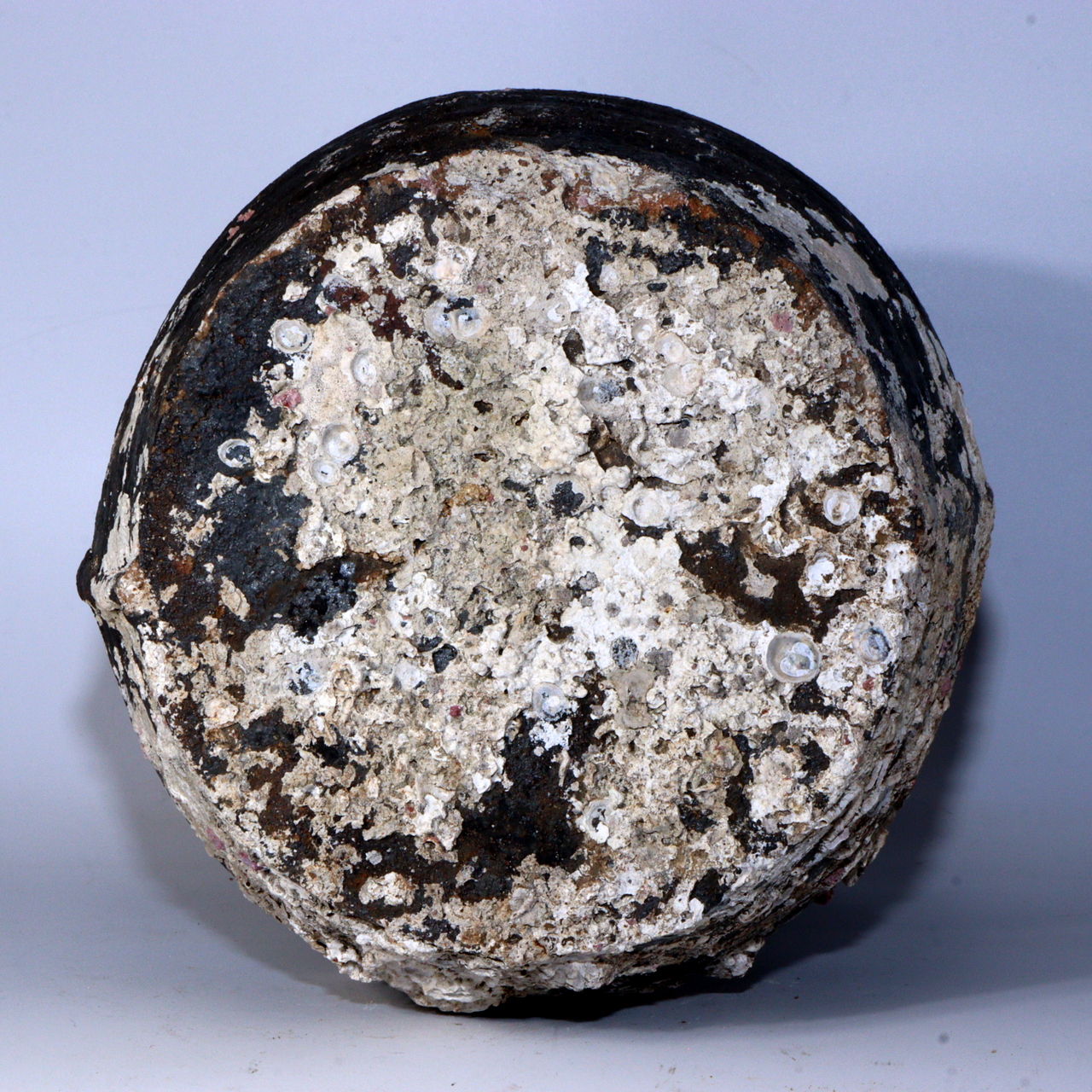 Washed by the Sea: An Edo Period Japanese Octopus Pot (Takotsubo) - The ...