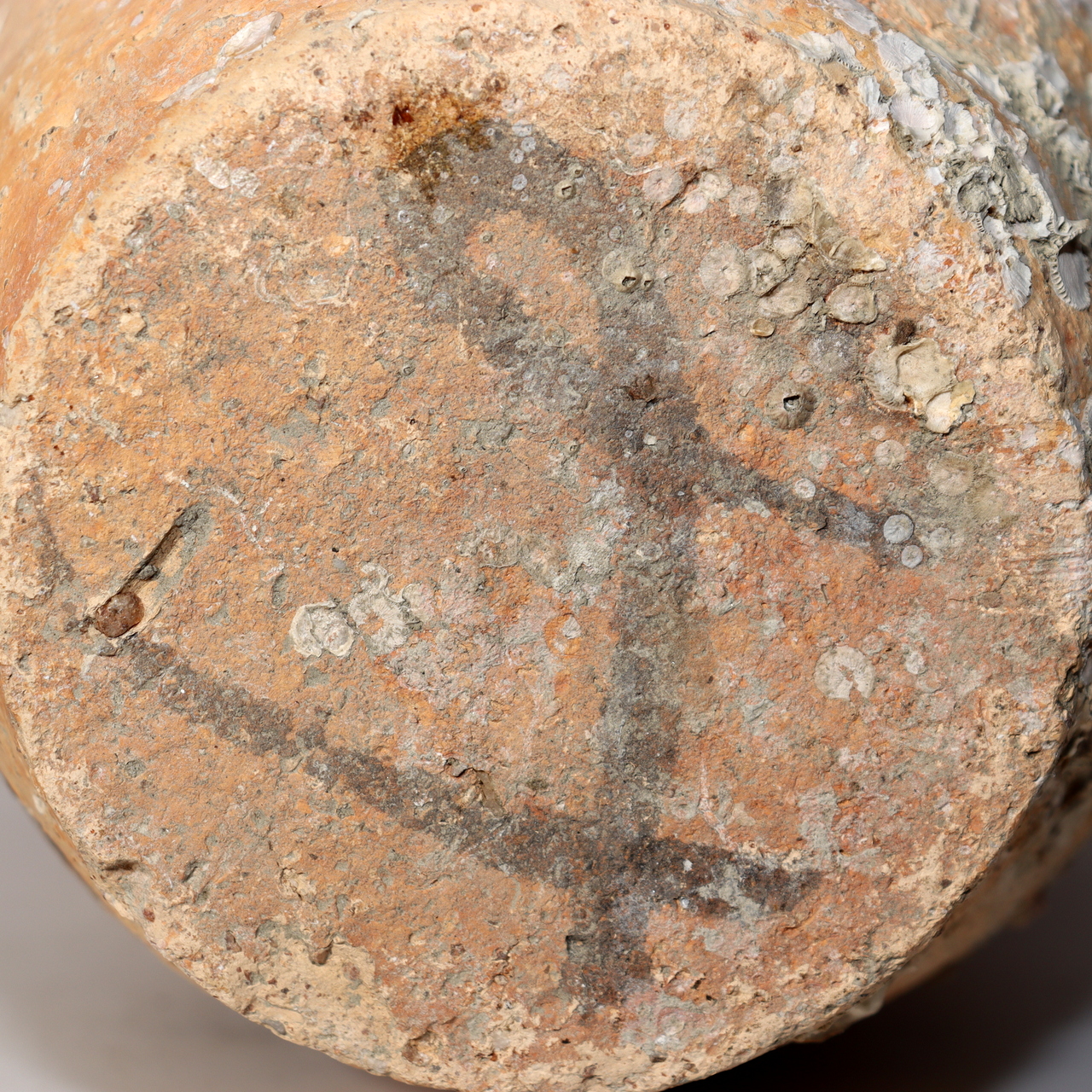 Washed by the Sea: An Edo Period Japanese Octopus Pot (Takotsubo) - The ...
