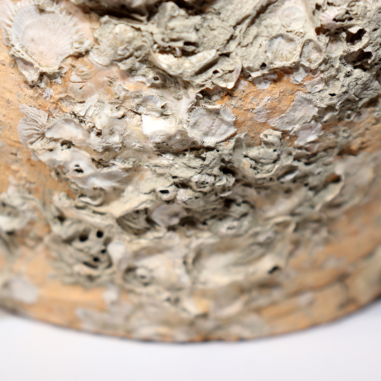 Washed by the Sea: An Edo Period Japanese Octopus Pot (Takotsubo) - The ...